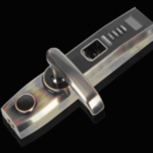 Chongqing JinOu technology development co., LTD. - smart door lock series